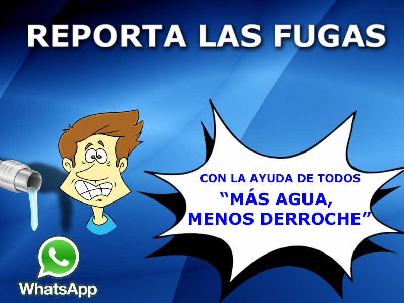 rpt_fuga – EAAA de El Espinal E.S.P